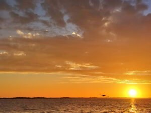 Playa de Altata, Sinaloa: Guía Completa
