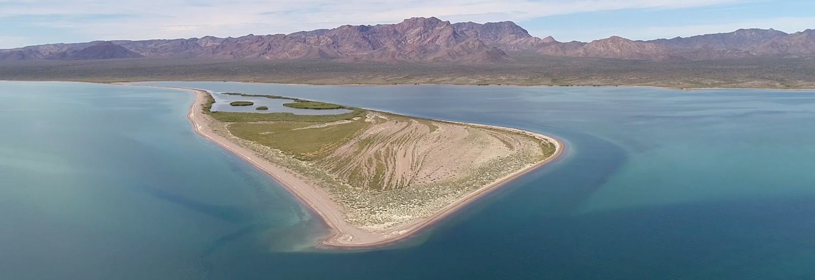 Isla Tiburón